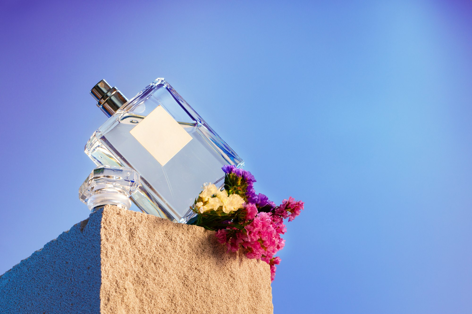 Contact Us » Tailor-made Scents